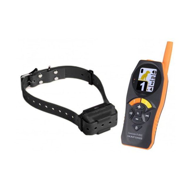 Ferntrainer Sets sofort betriebsbereit